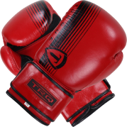 Adult Boxing Gloves – Wing Shipping